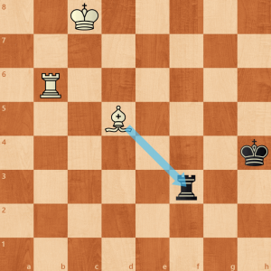 Which Chess Piece Can Only Move Diagonally? | CircleChess