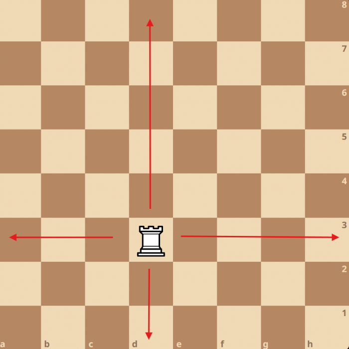 Beginner’s Guide to Chess Pieces: Names & Movements (Images)