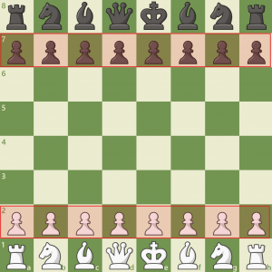 Beginner’s Guide to Chess Pieces: Names & Movements (Images)