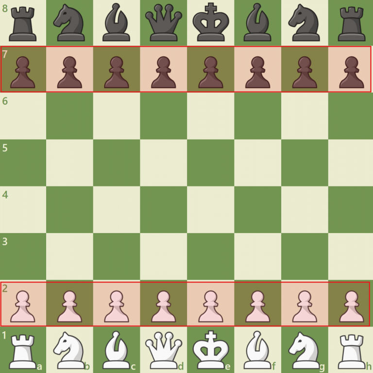Beginner’s Guide to Chess Pieces: Names & Movements (Images)