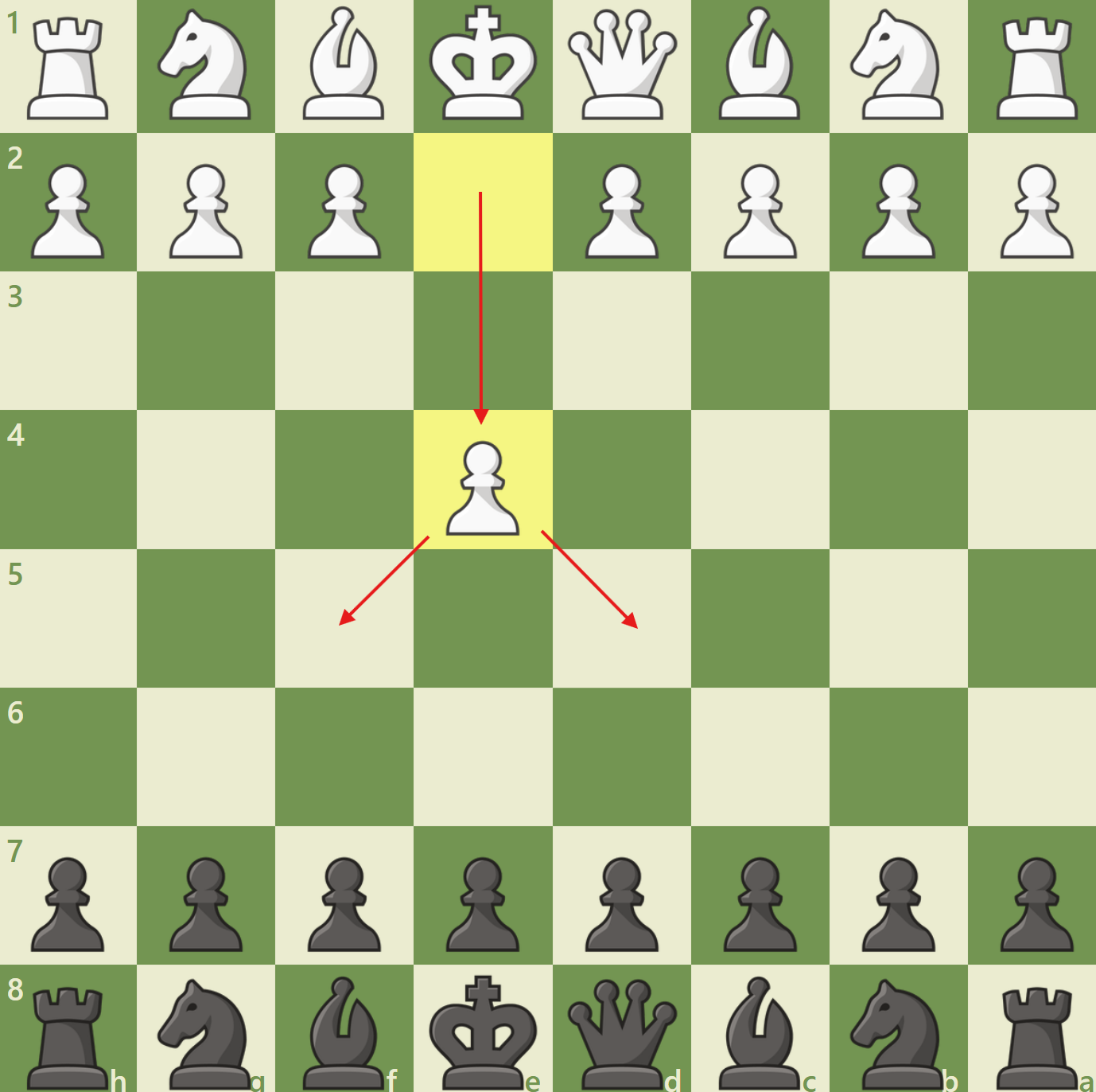 Beginner’s Guide to Chess Pieces: Names & Movements (Images)