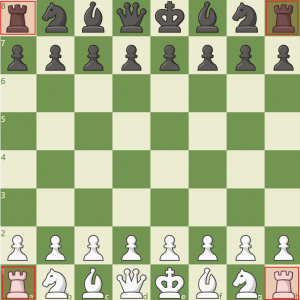 Beginner’s Guide to Chess Pieces: Names & Movements (Images)